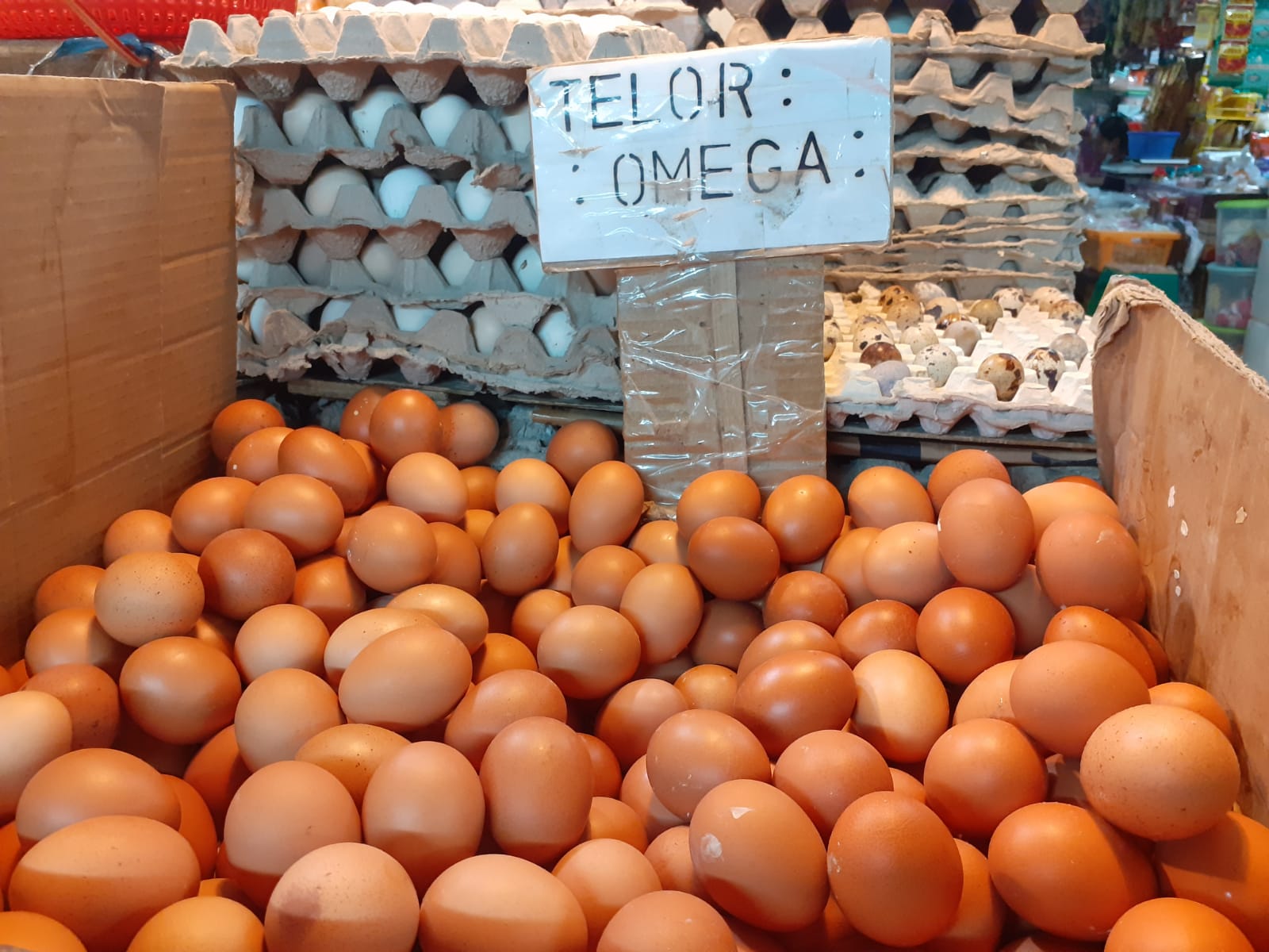 Harga Telur Omega 1 Kg: Apakah Sepadan dengan Kesehatan yang Diberikan ...